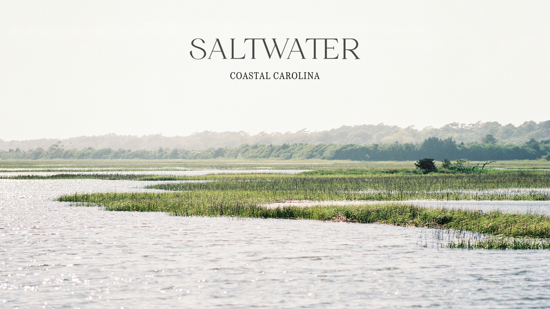 Our Debut Coastal Coffee Table Book | Saltwater: Coastal Carolina ...