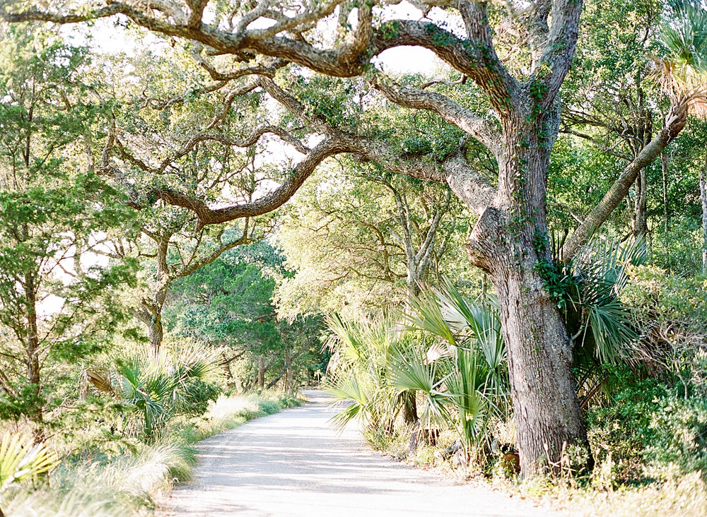 Middle Island – Saltwater Collection
